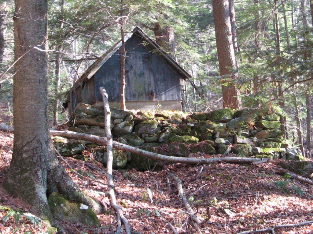 Stockbridge fever and the history of the Stockbridge Water Company ...