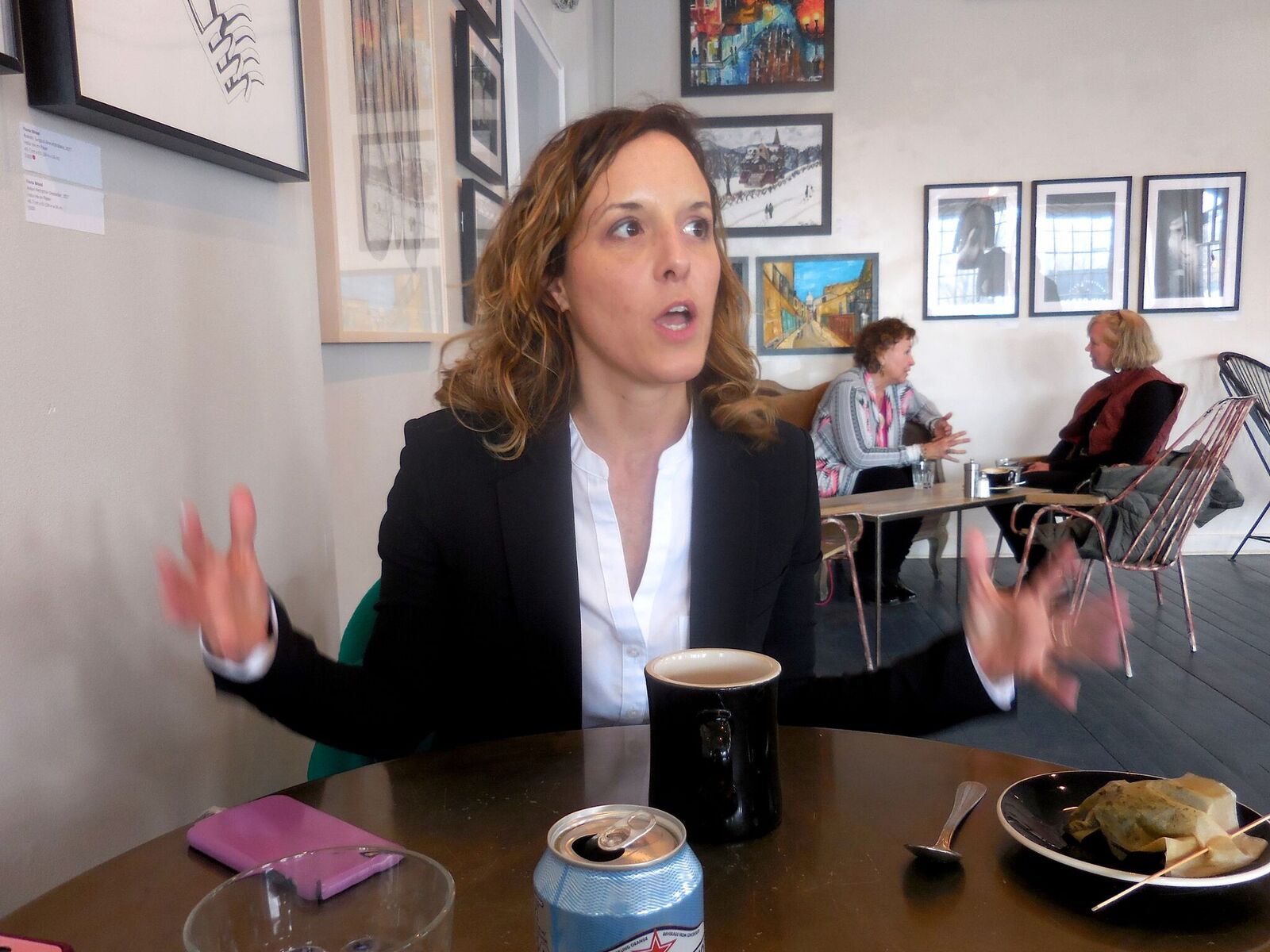 A reformer, Andrea Harrington, running for district attorney; questions ...