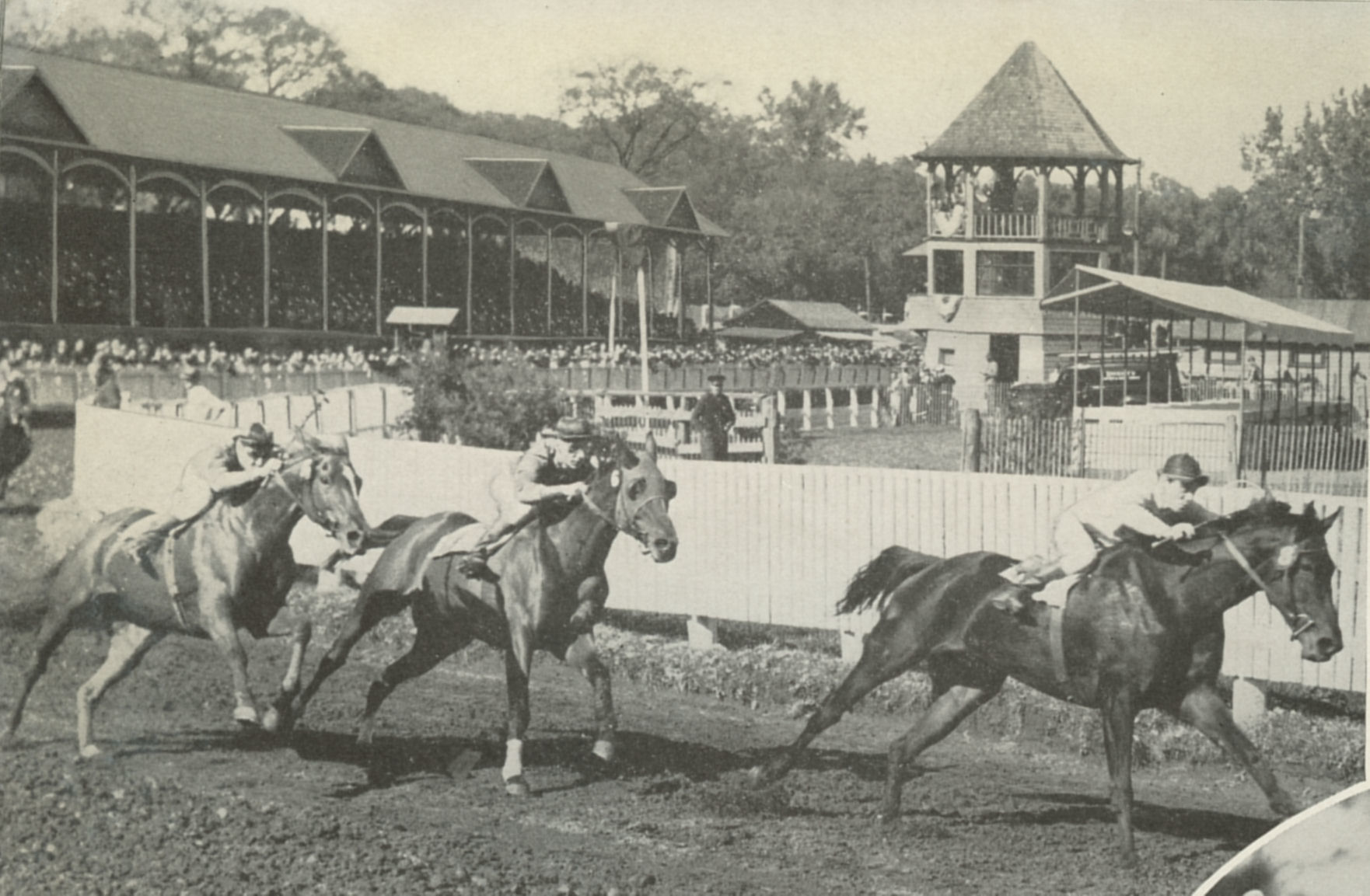 Animal cruelty, local control doomed Hinds' sponsorship of horse racing ...