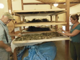 NATURE’S TURN: On the cusp of winter, Turtle Tree Seeds turns toward ...