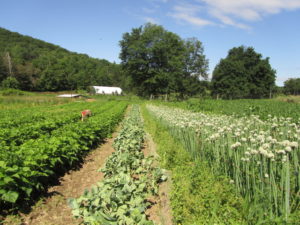 NATURE’S TURN: On the cusp of winter, Turtle Tree Seeds turns toward ...