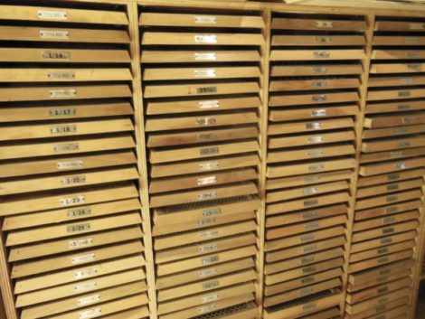 NATURE’S TURN: On the cusp of winter, Turtle Tree Seeds turns toward ...