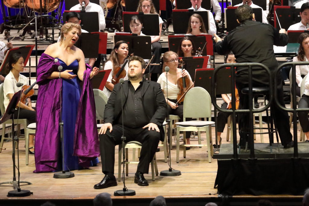 REVIEW: 'Die Walküre' at Tanglewood featured brilliant performances ...