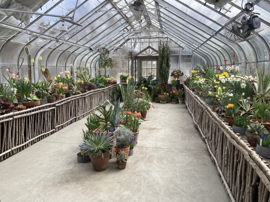 BITS & BYTES: BBG Bulb Show; “Signs, Games & Messages” concert festival ...