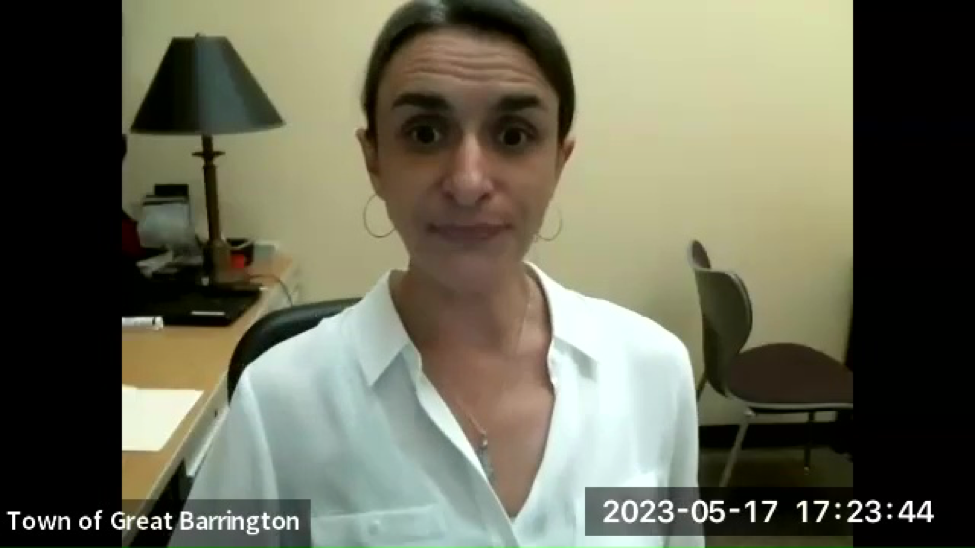 After nine months, Samara Klein to resign as Great Barrington Library ...