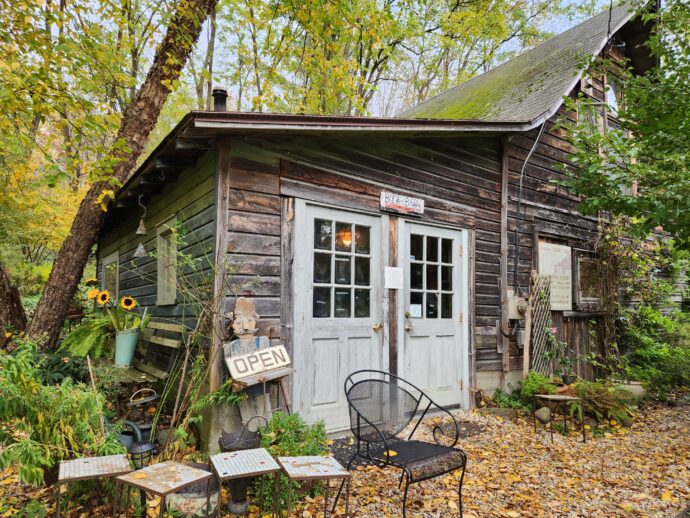 BUSINESS SPOTLIGHT: Rodgers Book Barn—a place you'll return to, like a ...