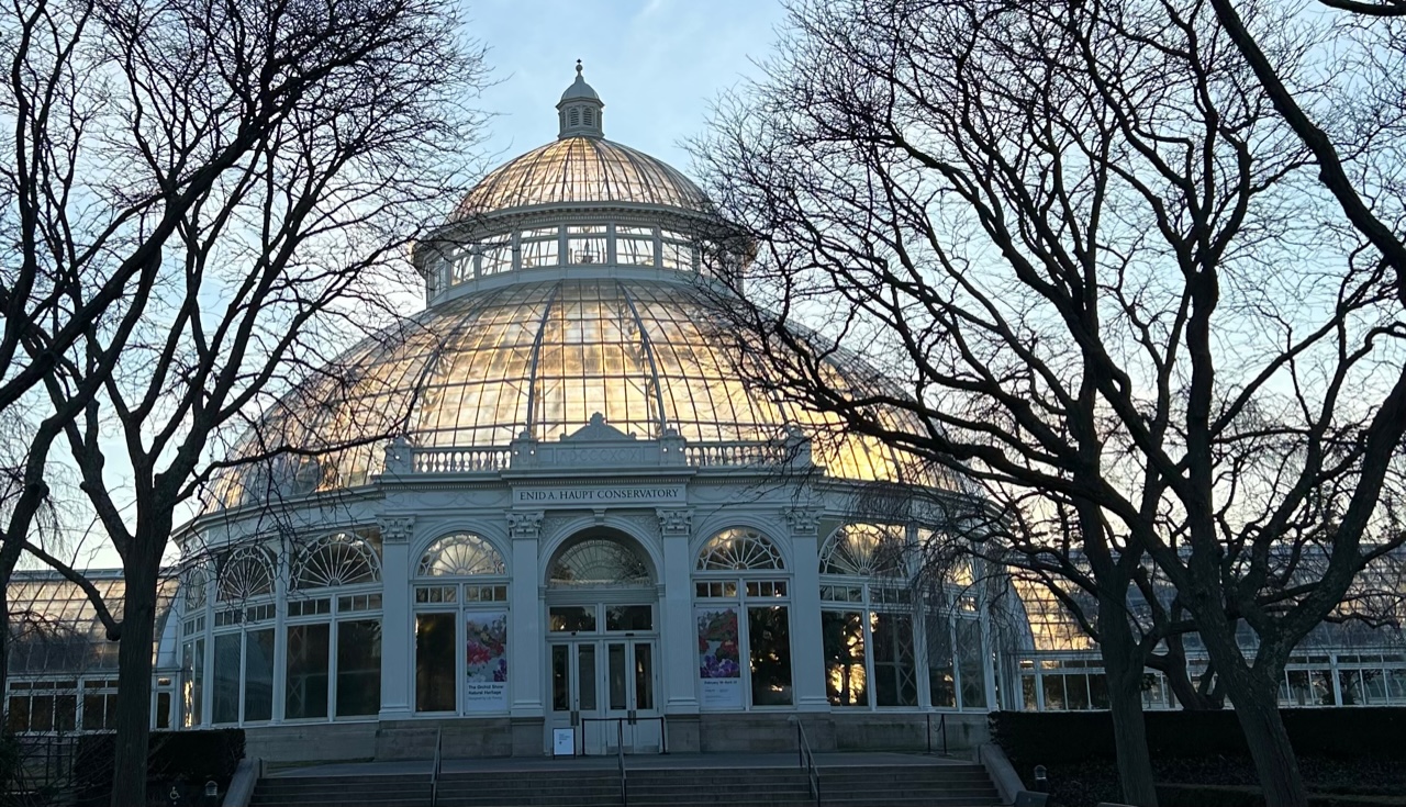 THE SELF-TAUGHT GARDENER: New York ambassadors - The Berkshire Edge