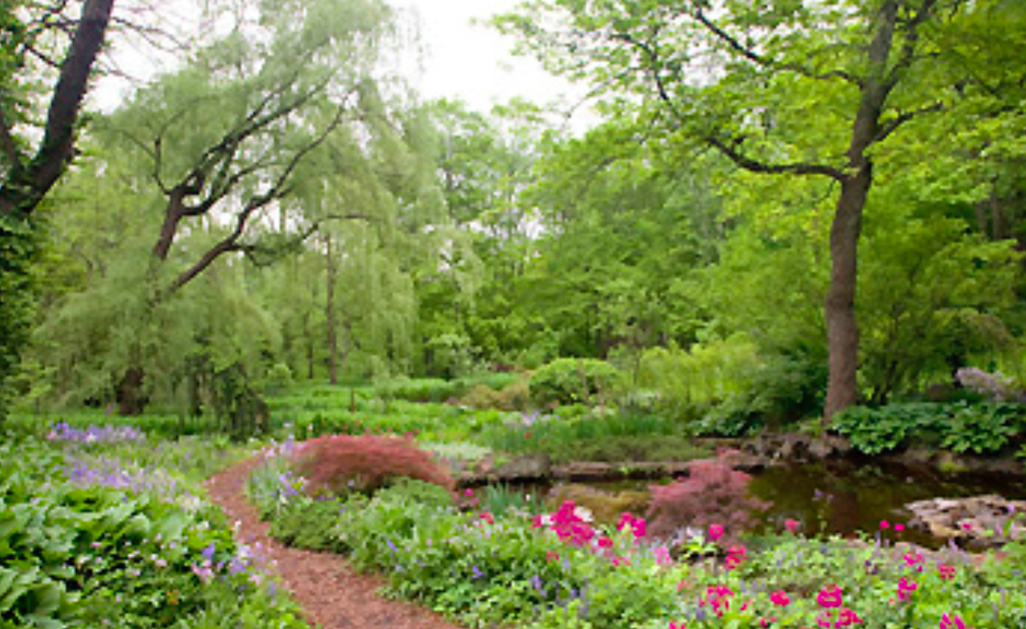 The Self-Taught Gardener: Portrait of an Artist - The Berkshire Edge