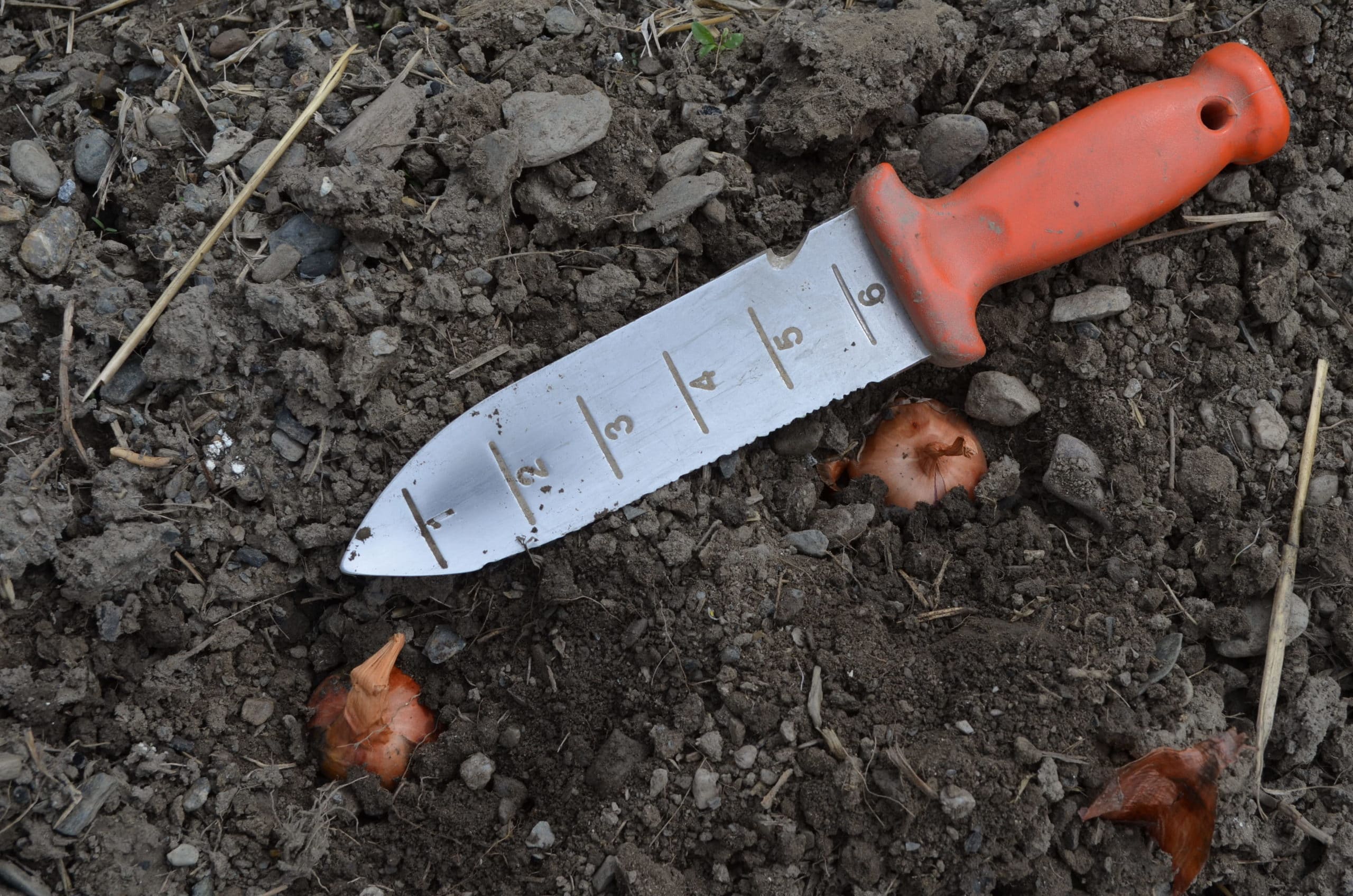 Checklist for how to garden in the Berkshires this week of April 15, 2021 %