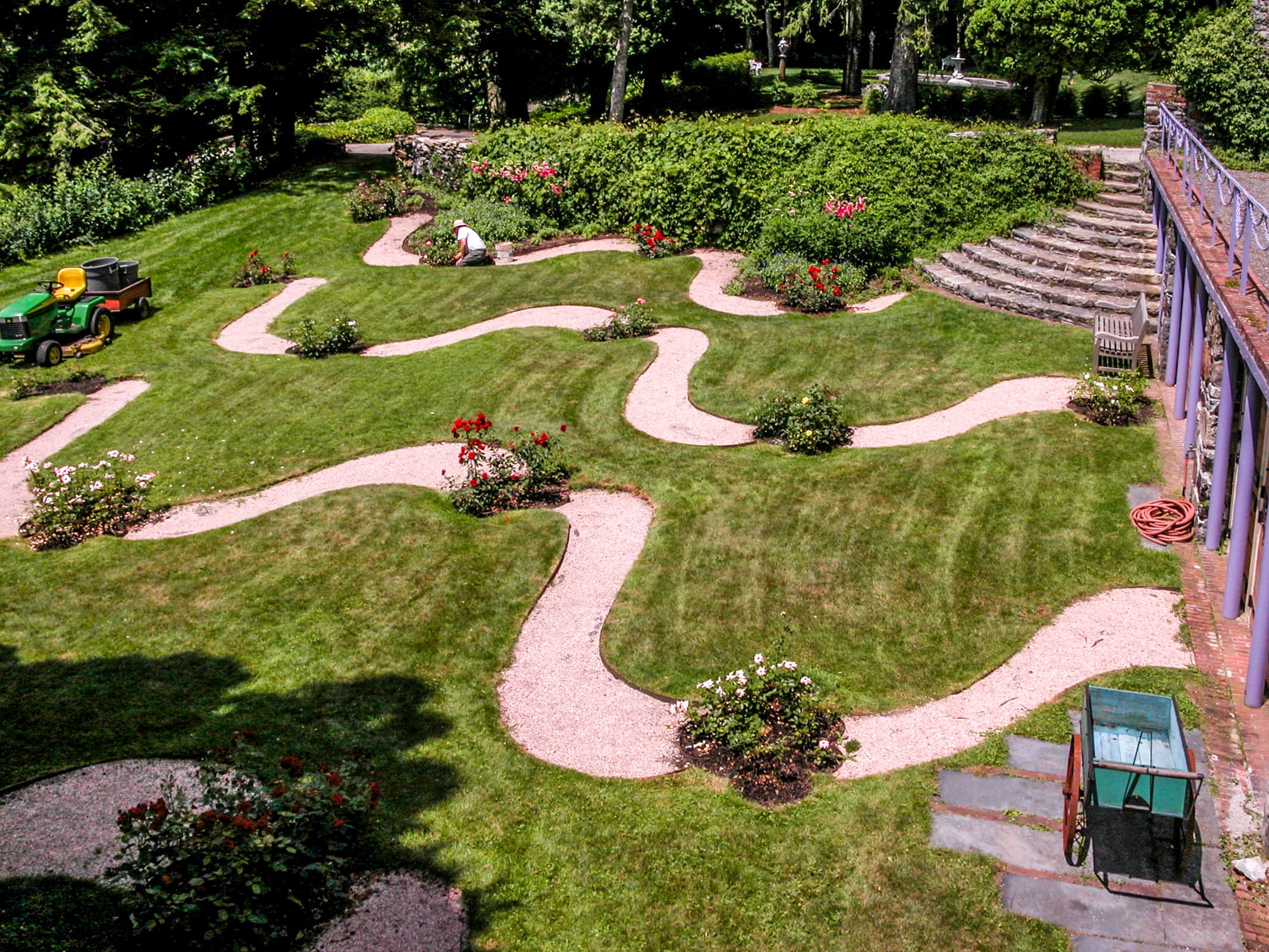 THE SELF-TAUGHT GARDENER: Shared paths - The Berkshire Edge