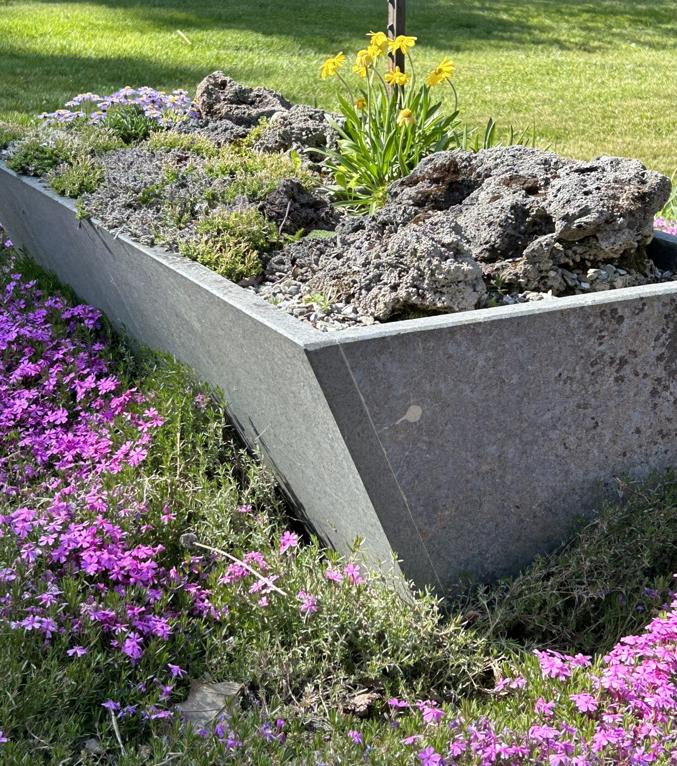 THE SELF-TAUGHT GARDENER: Under a rock - The Berkshire Edge