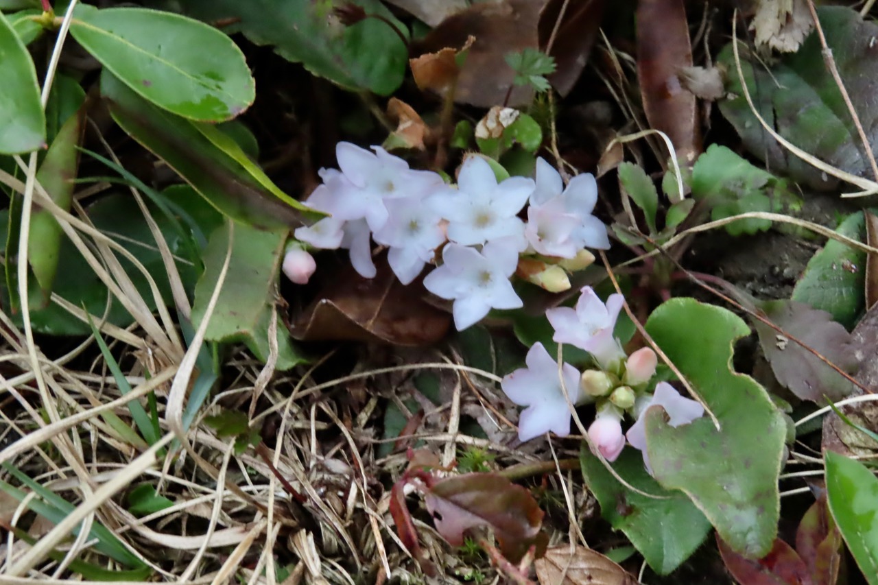 NATURE'S TURN: Re-awakening wonder, instinct to protect the natural ...