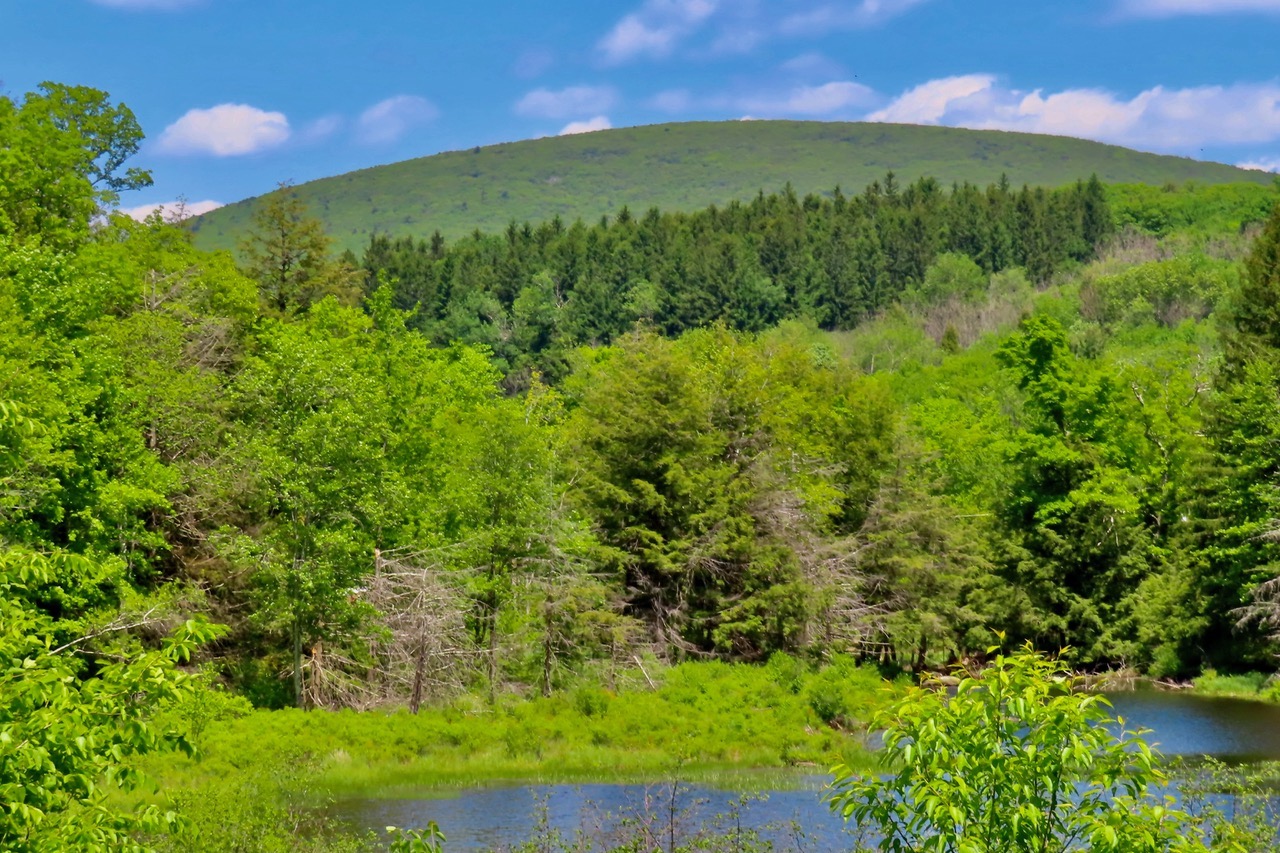 NATURE'S TURN: Town of Mount Washington's ring of summits — two State ...
