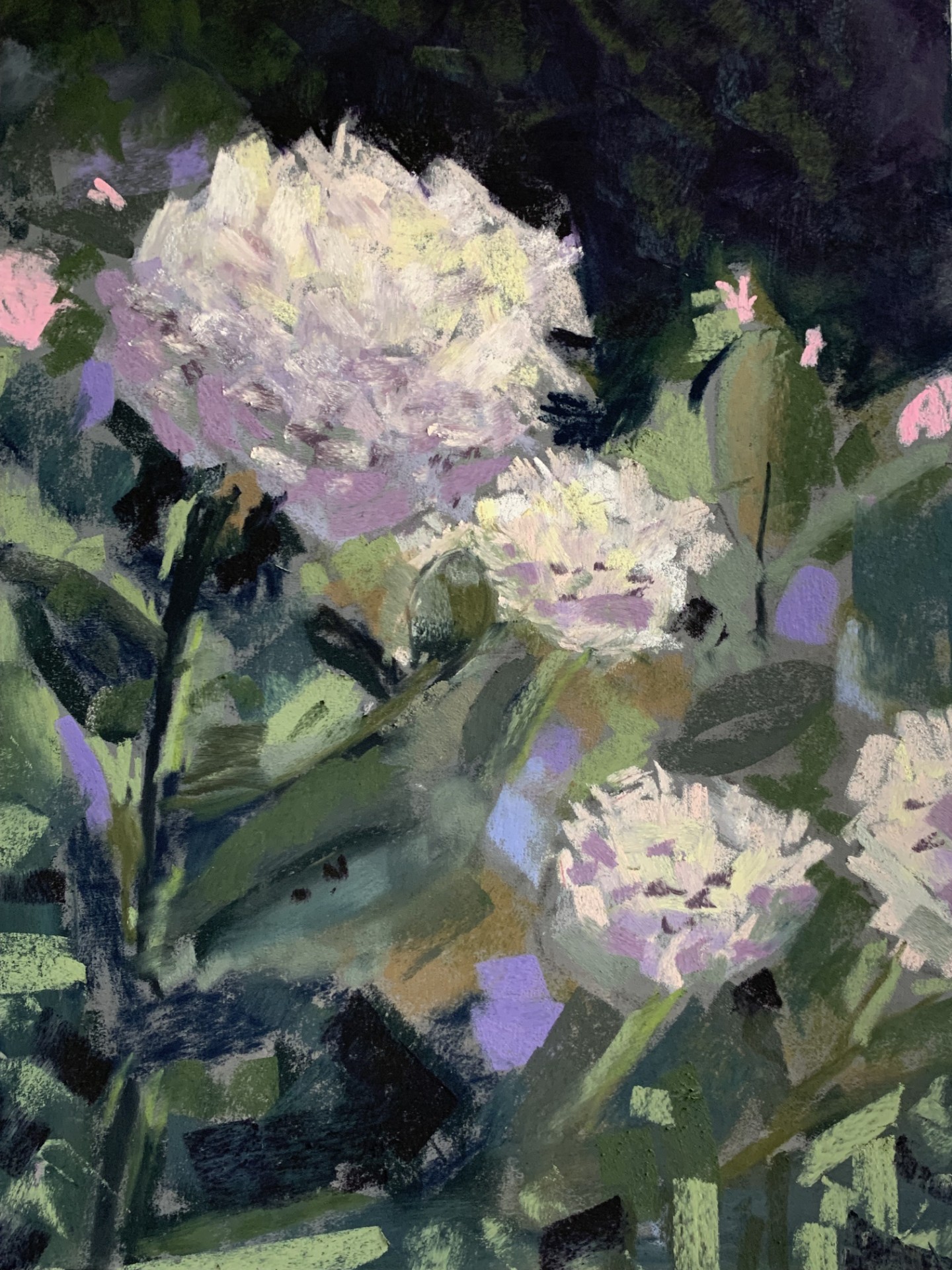BITS & BYTES: Jackson Whalan at Dorothy’s; Tribute to spring at Lauren ...