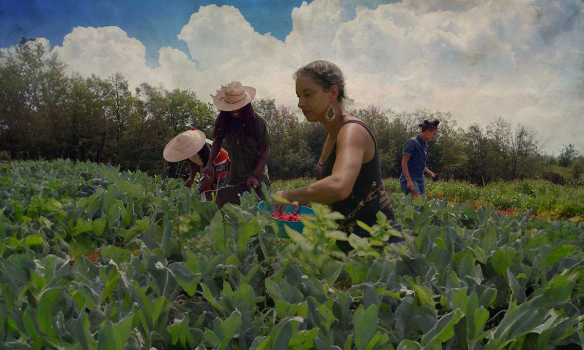 BITS & BYTES: BIFF and The Triplex present ‘Farming While Black'; Sarah ...