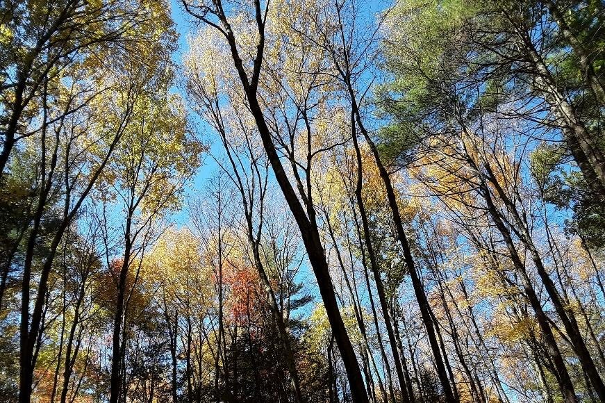 I WITNESS: Goodbye to the Berkshires - The Berkshire Edge