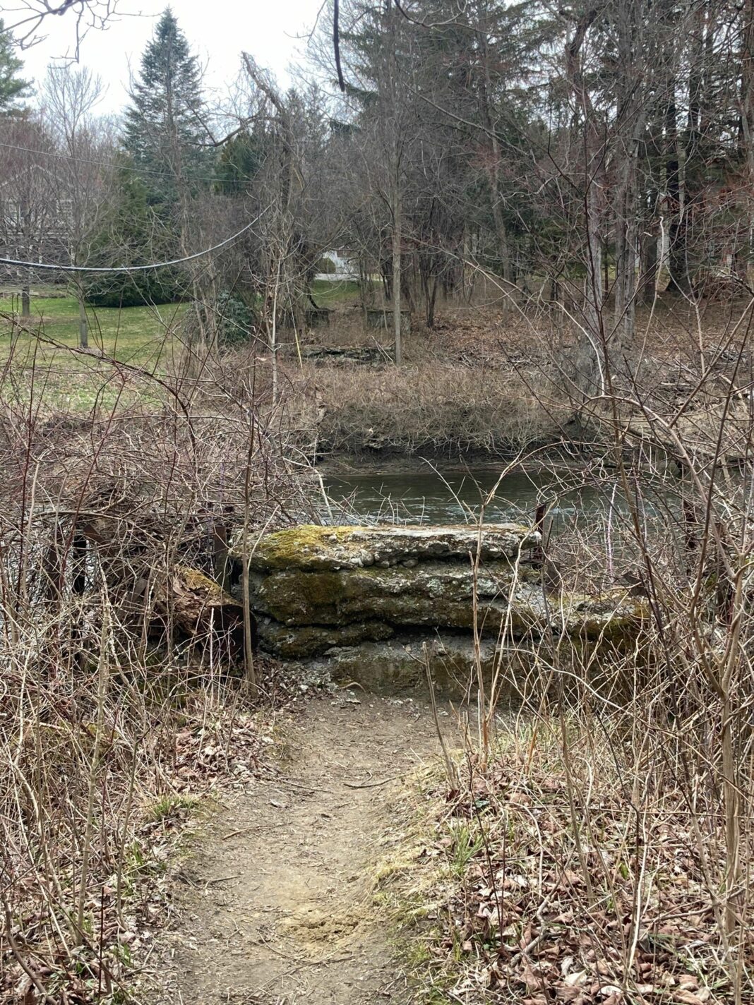 THEN & NOW: The Lincoln Lane 'White Swinging Bridge' in Stockbridge ...