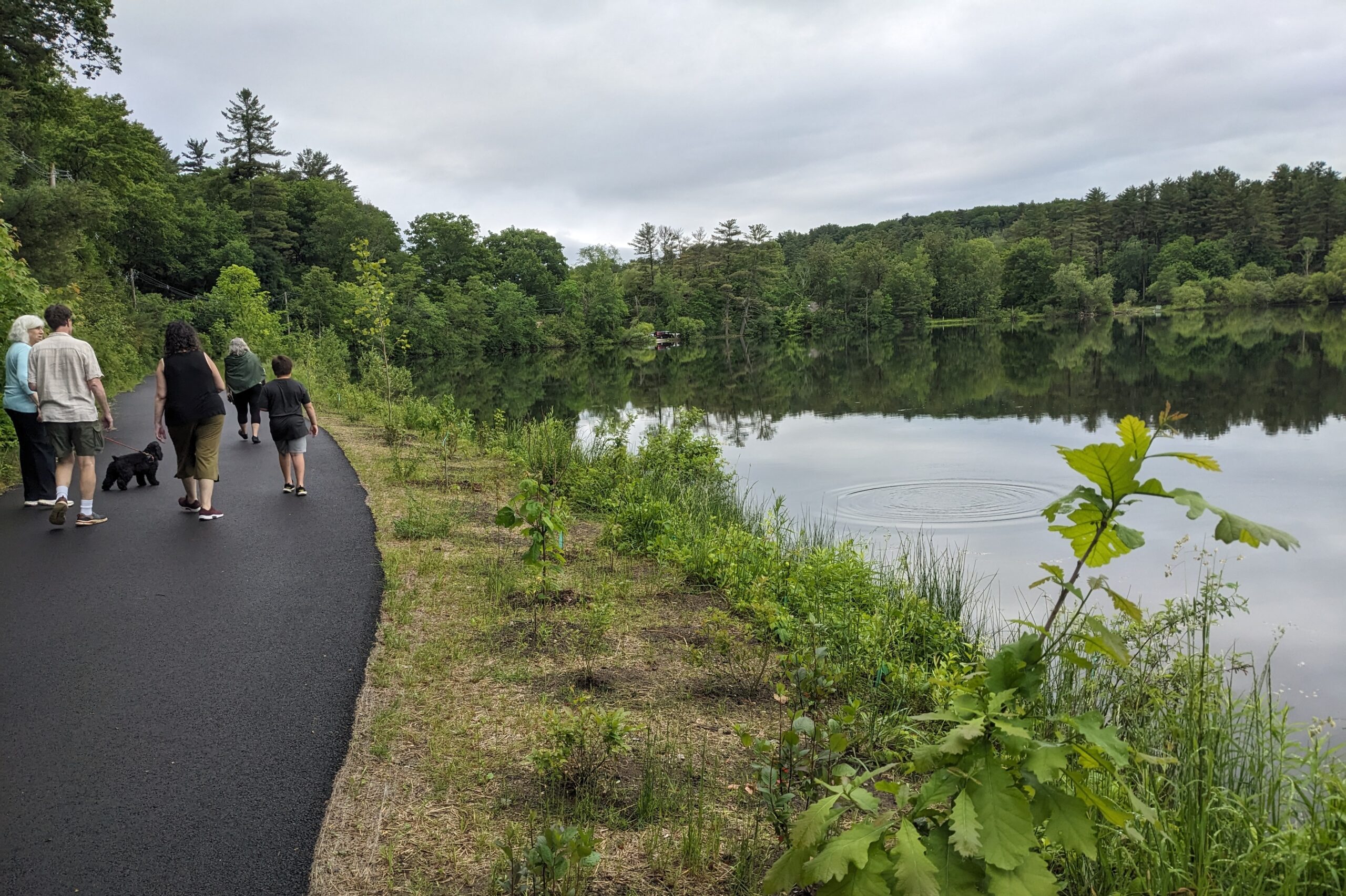 Great Barrington Land Conservancy fundraiser celebrates Lake Mansfield ...