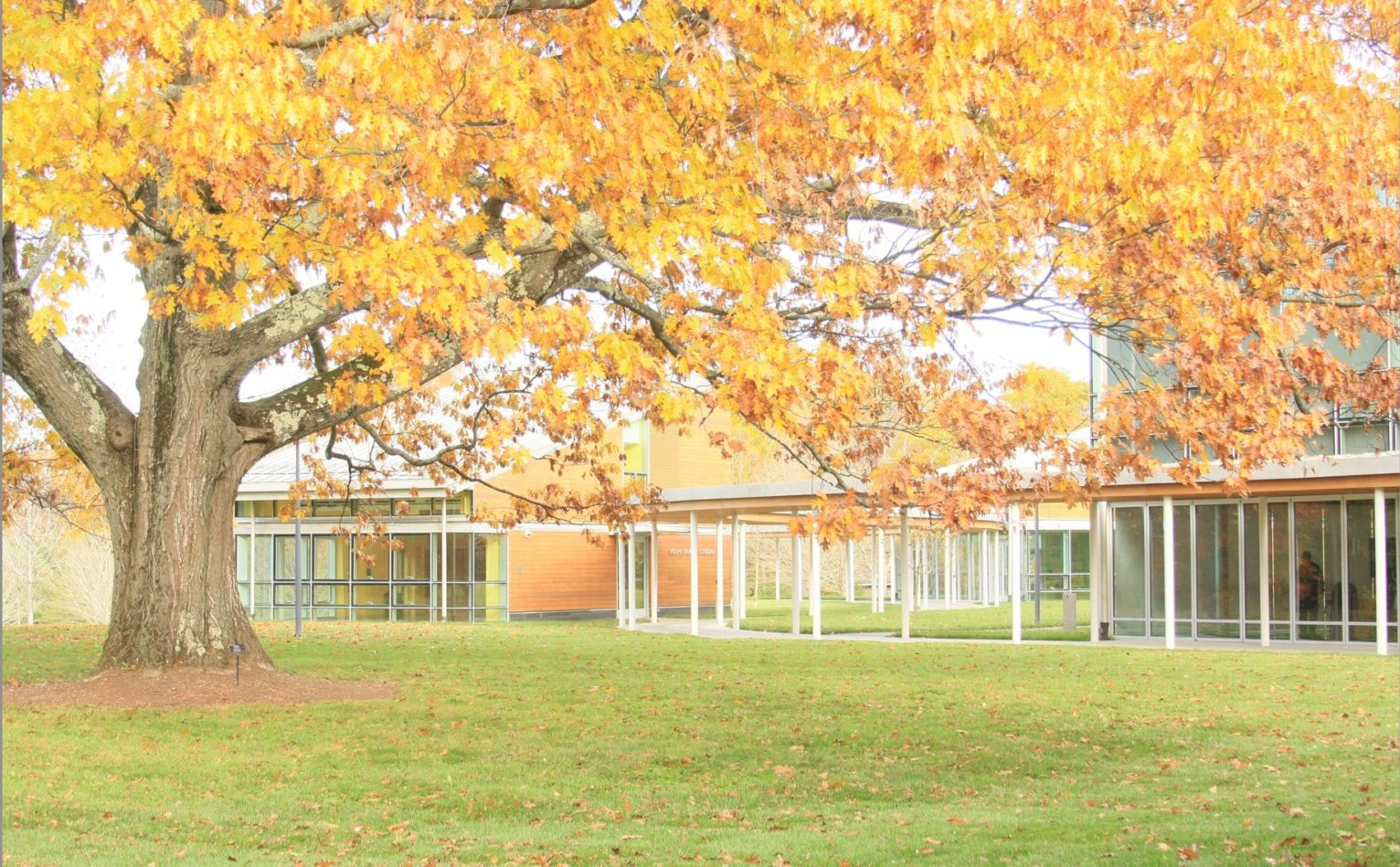 Tanglewood Learning Institute publishes fall, winter, and spring ...