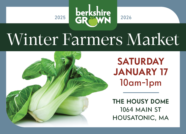 TECH & INNOVATION: Short-termism as an executive disease - The ...