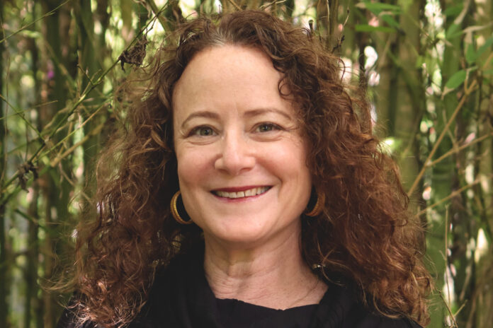 Nonprofit Center of the Berkshires names Samantha Anderson as new ...