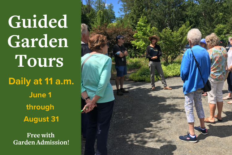 Guided Garden Tours at Berkshire Botanical Garden - The Berkshire Edge